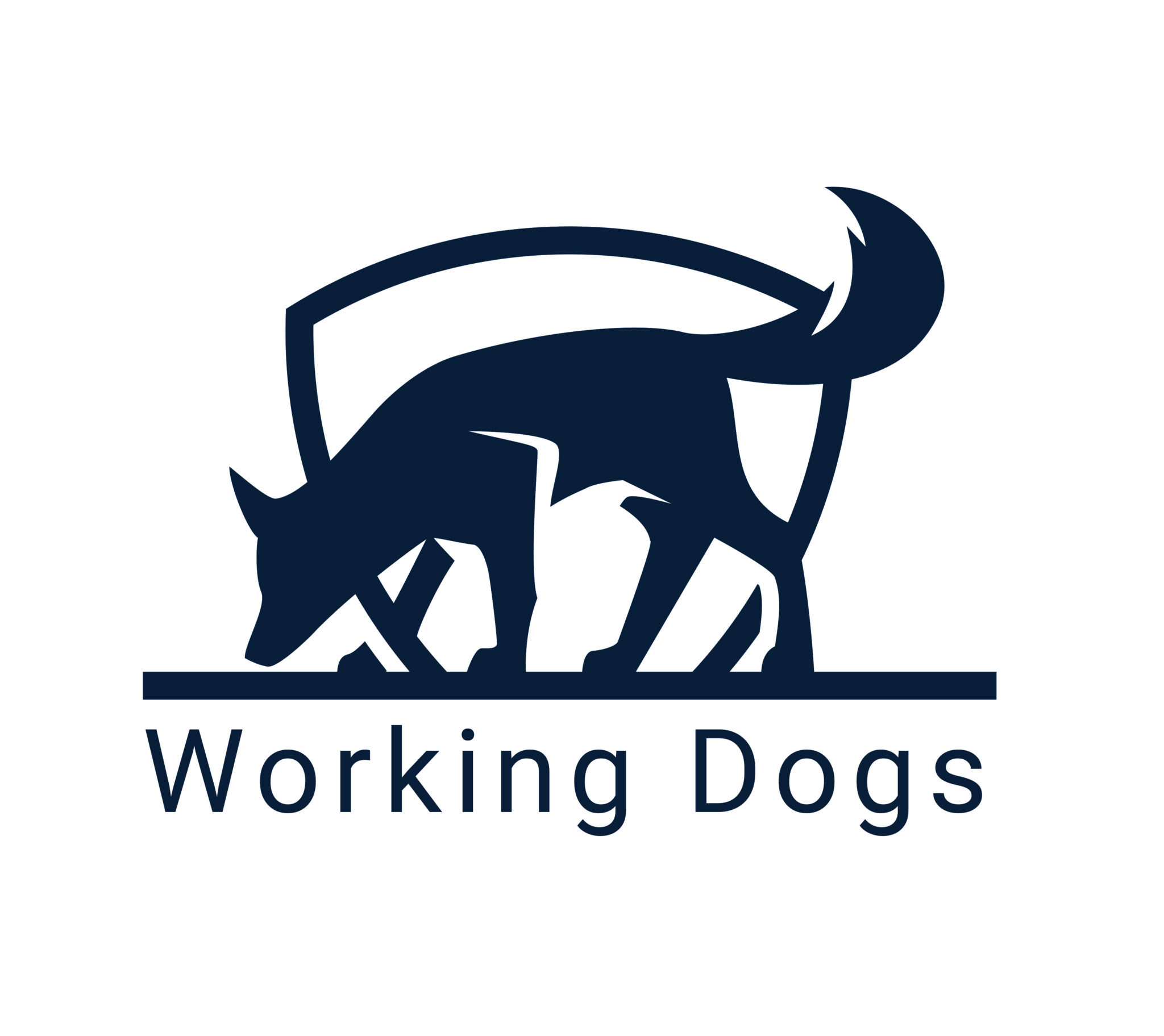 Working Dogs – Sinnvolles Arbeiten mit unseren Hunden